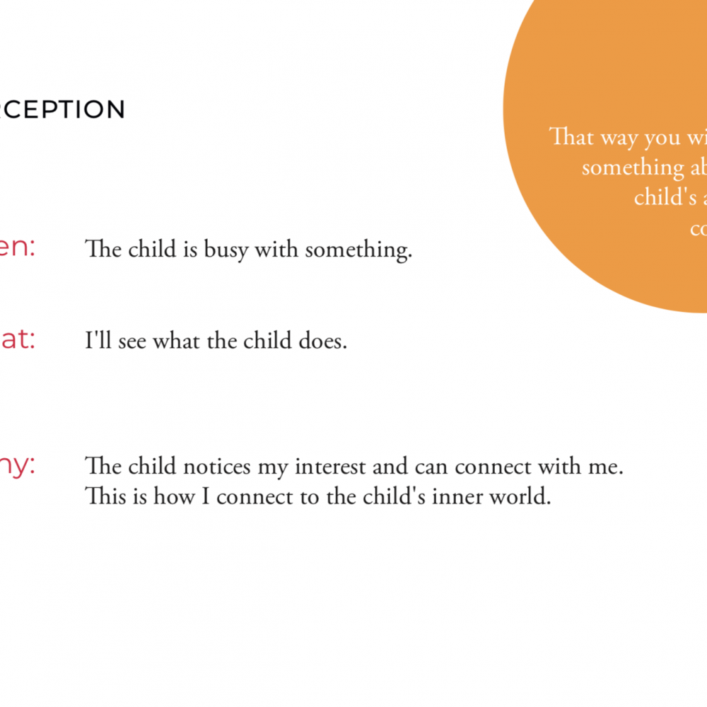 Marte Meo Elements - Basic Set (english version) - KT-Institut